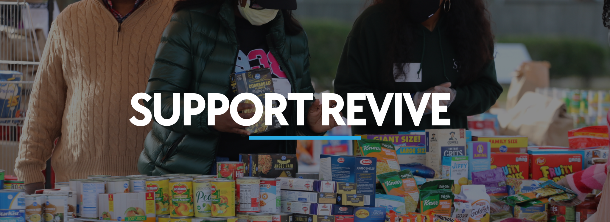 DONATE – Revive Community